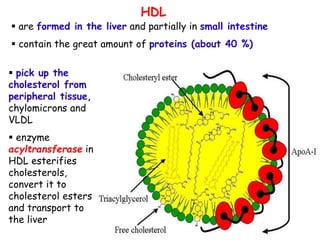 04. blood plasma proteins | PPT
