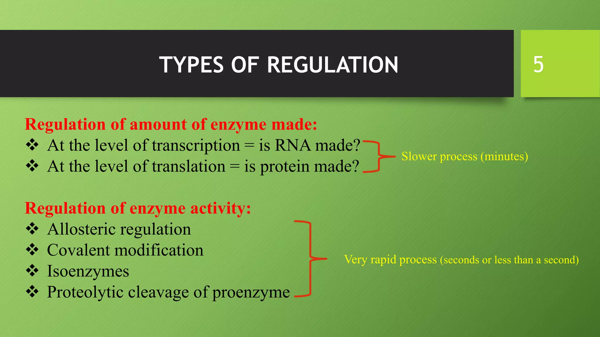 04. Regulatory Enzymes.pptx