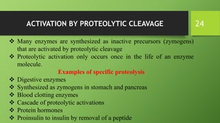 04. Regulatory Enzymes.pptx
