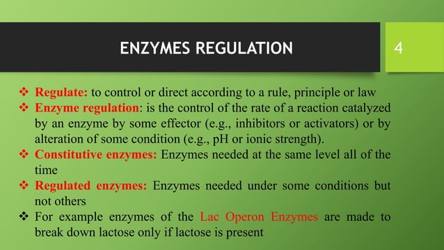 04. Regulatory Enzymes.pptx | Endocrine and Metabolic Diseases ...