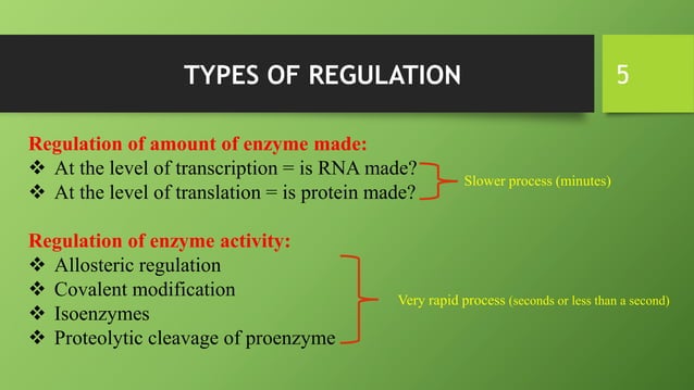 04. Regulatory Enzymes.pptx | Endocrine and Metabolic Diseases ...