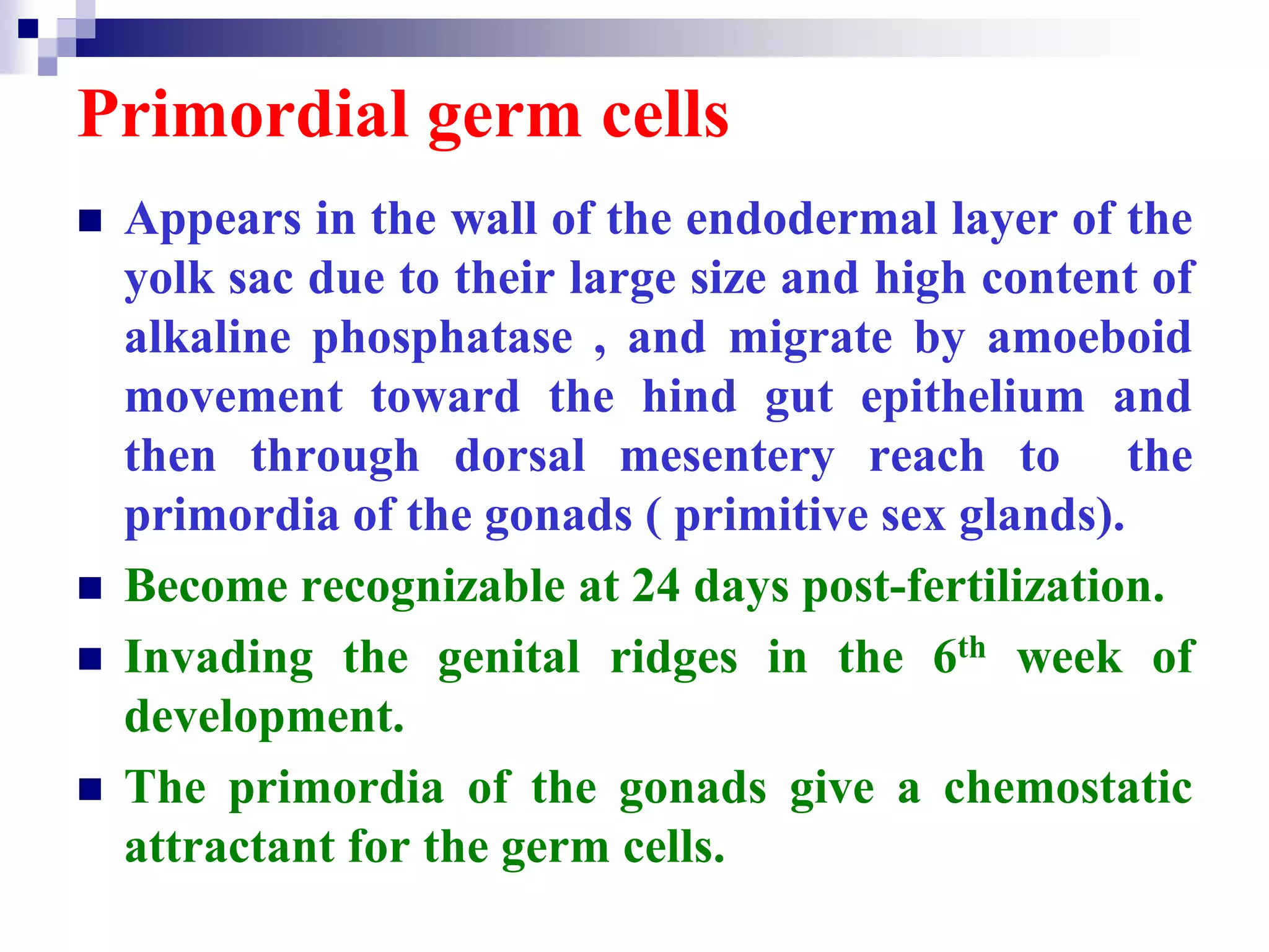 04.PhasesofEmbryonicdevelopment.ppt