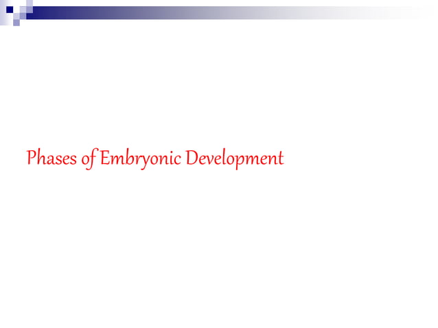 04.PhasesofEmbryonicdevelopment.ppt | Infertility | Reproductive Health