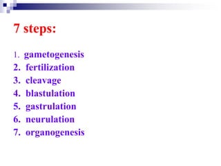 04.PhasesofEmbryonicdevelopment.ppt