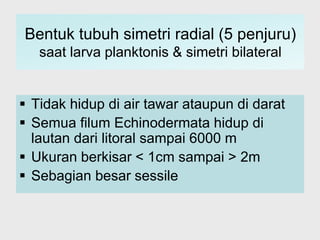 04. Echinodermata.pptx