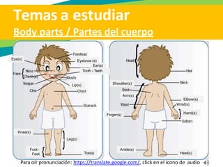 04. tutorial 4. clothes, body parts.pptx