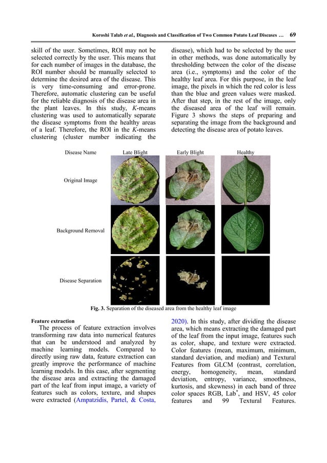 Diagnosis and Classification of Two Common Potato Leaf Diseases (Early Blight and Late Blight ...
