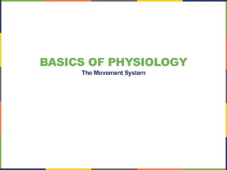 04. The Movement System - presentation.pdf