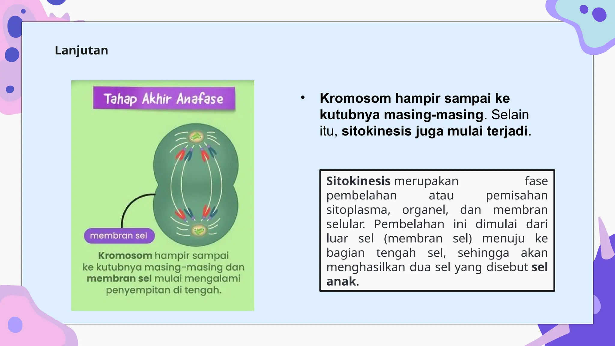 Materi Ajar tentang Siklus-siklus Sel dan fungsinya | PPTX