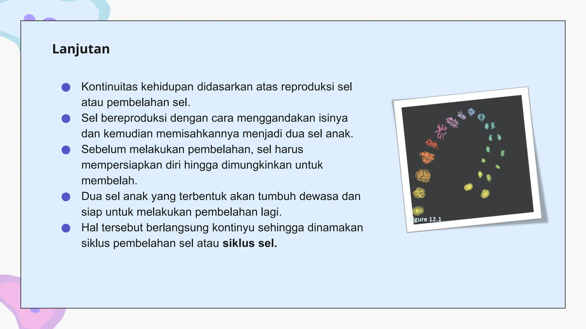 Materi Ajar tentang Siklus-siklus Sel dan fungsinya | PPTX