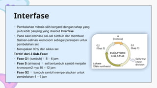 Materi Ajar tentang Siklus-siklus Sel dan fungsinya | PPTX