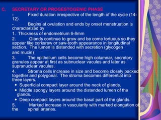 Menstrual cycle physiology in female.ppt
