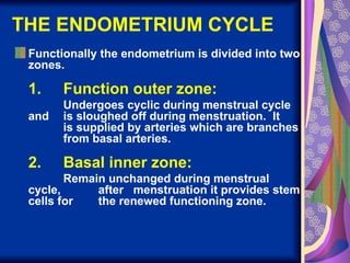 04. physiologyabccd.pptugjjuvuguugugtugufydyfydyf | PPT