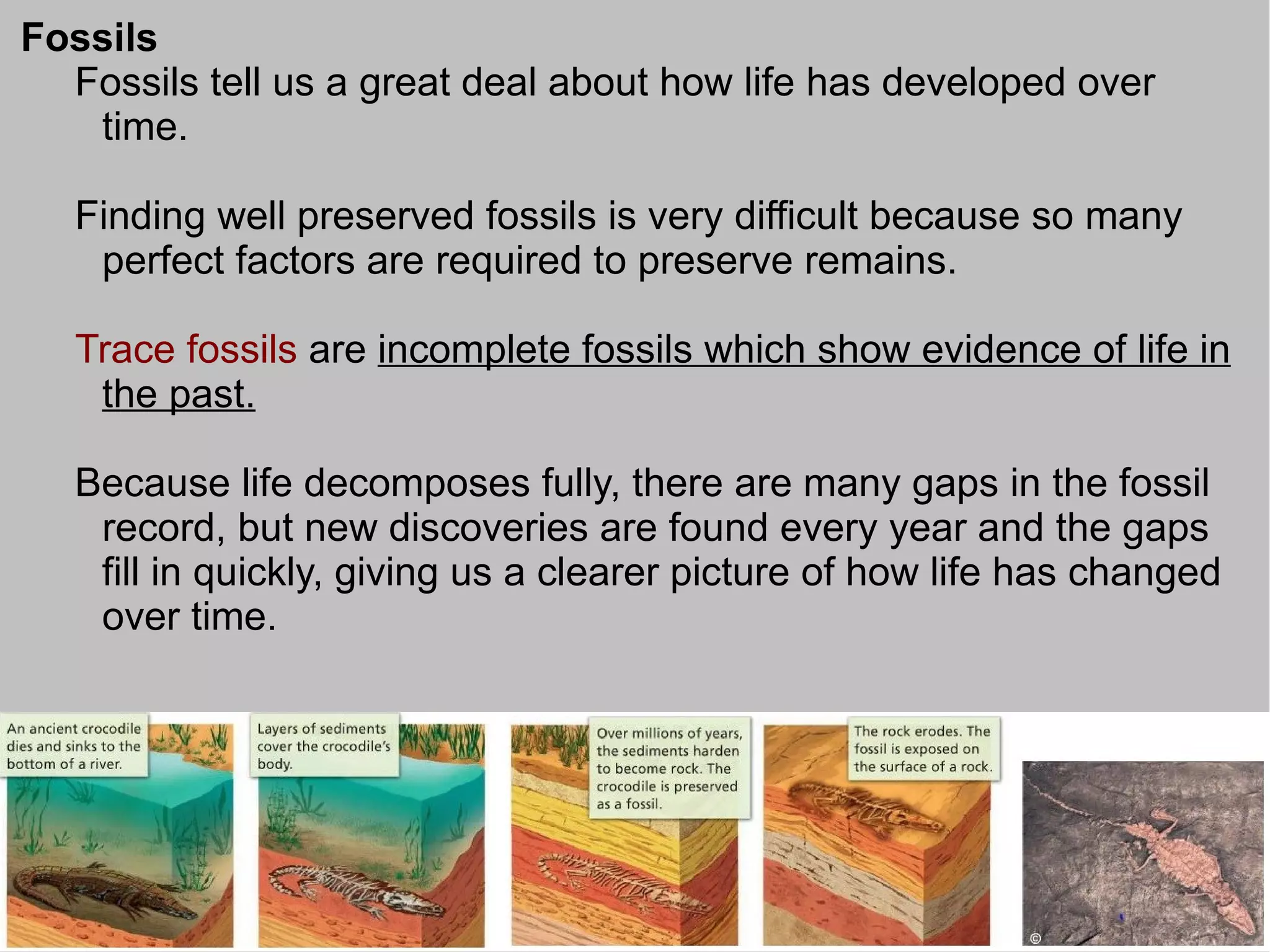 7th Grade Life Science - Evolution | ODP
