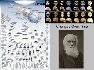 7th Grade Life Science - Evolution | ODP