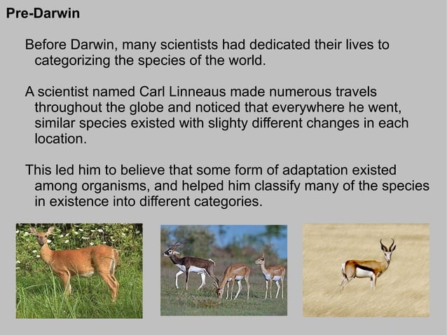 7th Grade Life Science - Evolution | ODP | Genetics | Science