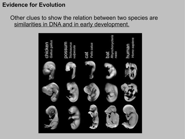 7th Grade Life Science - Evolution | ODP | Genetics | Science