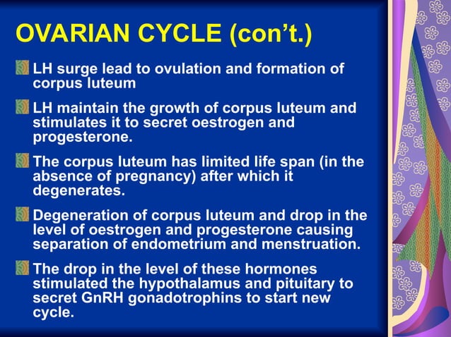 04. physiology of menstrual cycle.ppt ppt | PPT
