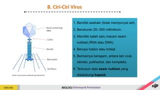 04. PPT Biologi X - www.ilmuguru.org.pptx