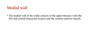 04. ANATOMY OF THE UPPER LIMB - AXILLA REGION.pptx