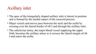 04. ANATOMY OF THE UPPER LIMB - AXILLA REGION.pptx