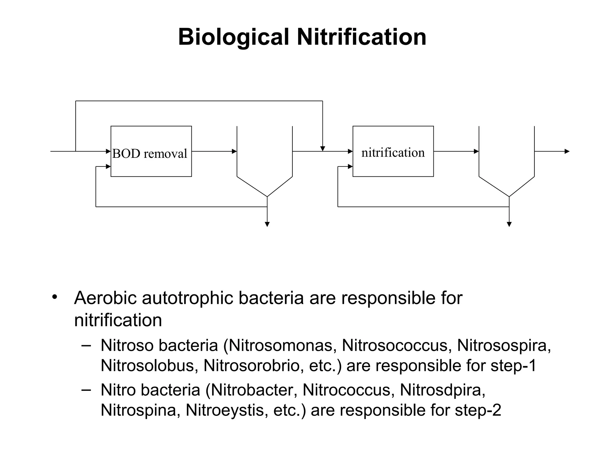 Biological n and p removal | PPT | Chemistry | Science