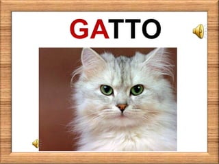 04 come pronunciare i suoni italiani-g | PPT