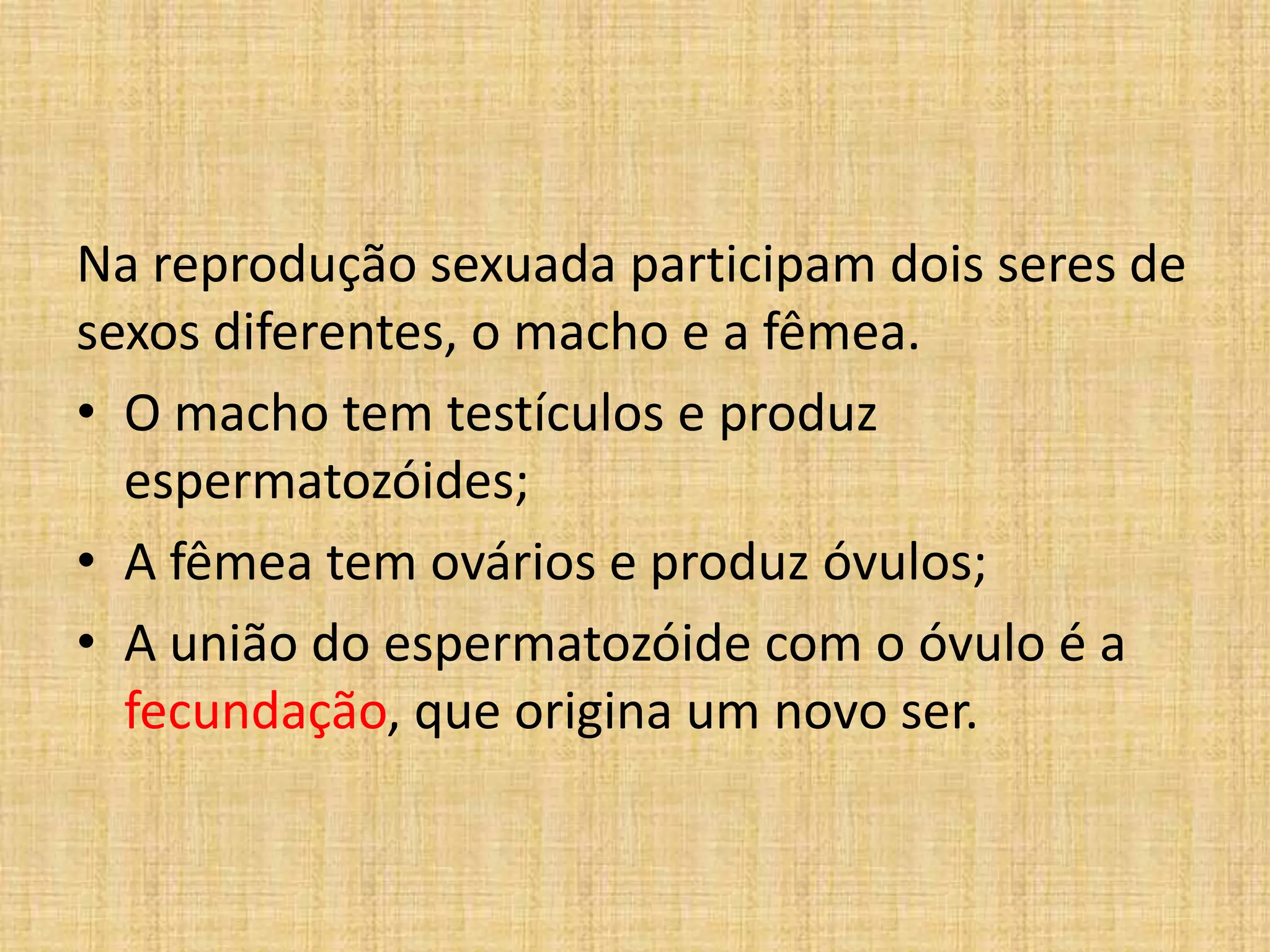 04 como se reproduzem os animais | PPTX