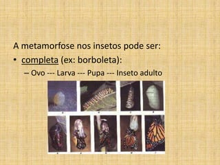 04 como se reproduzem os animais | PPT