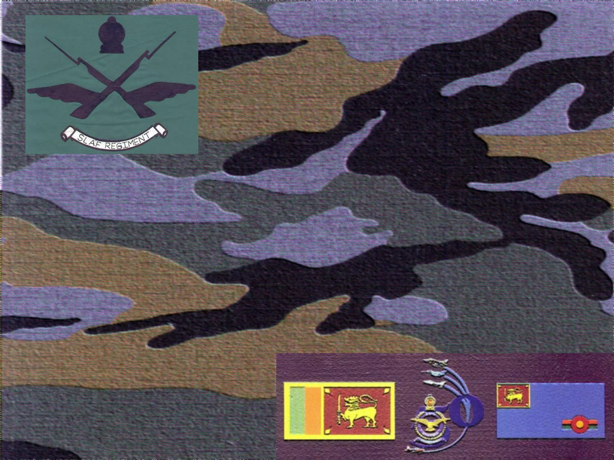 Counter Guerrilla Warfare | PPT