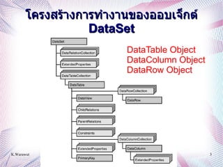 DataSet | PPT