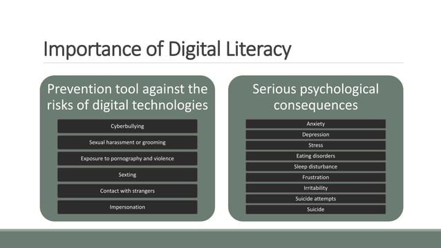 Development and Validation of a Digital Literacy Scale for Teenagers | PPT