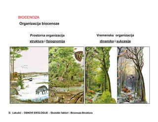 04 faktoribicenoza-struk | PDF