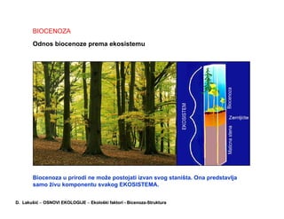 04 faktoribicenoza-struk | PDF
