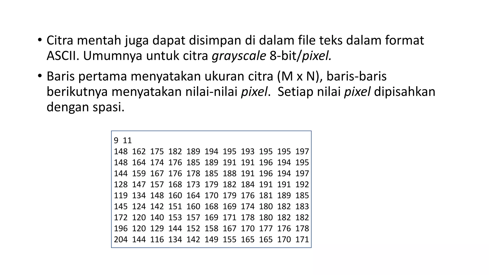 04-Format-citra-dan-struktur-data-citra-2021.pdf