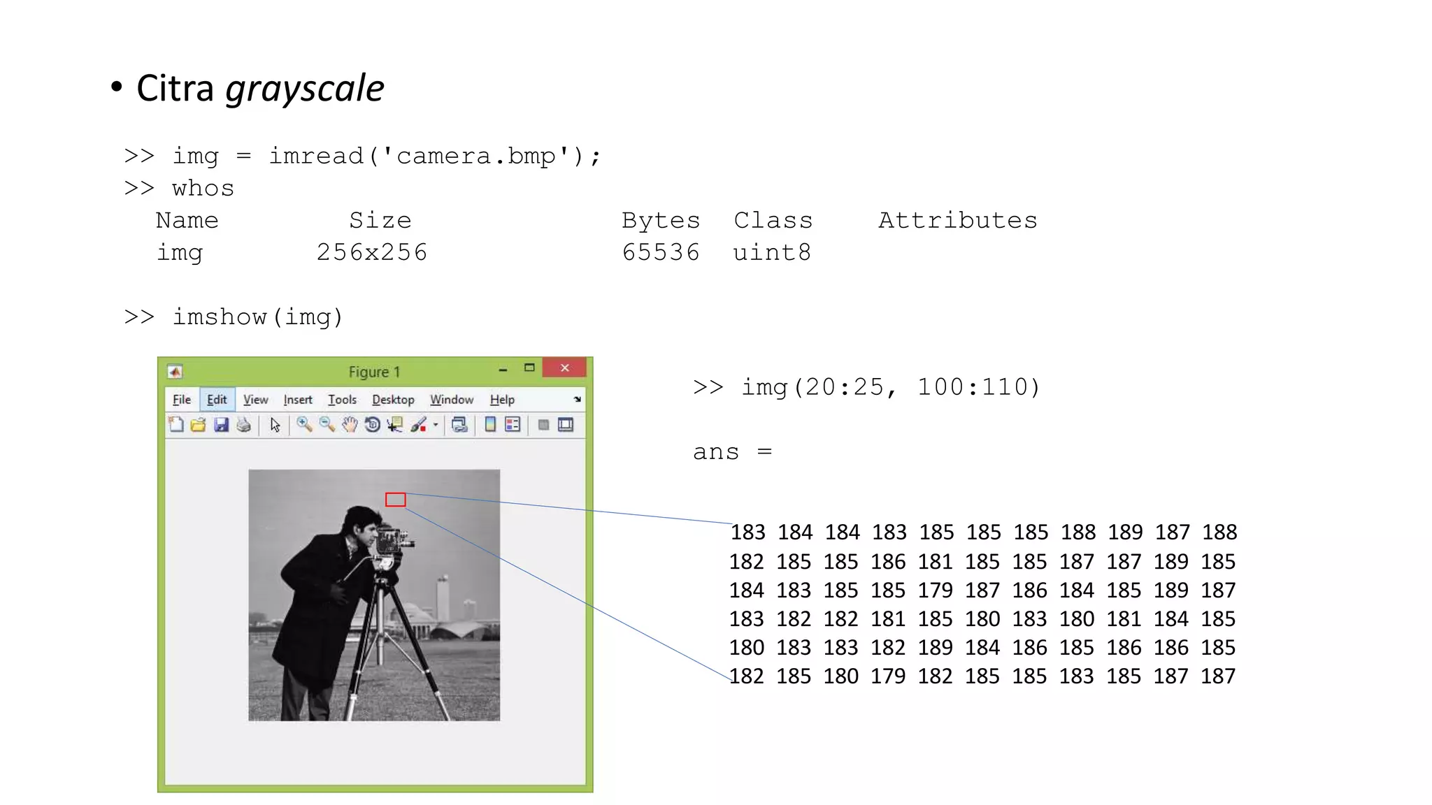 04-Format-citra-dan-struktur-data-citra-2021.pptx