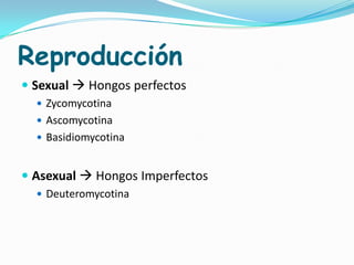 04 generalidades-de-hongos | PPTX