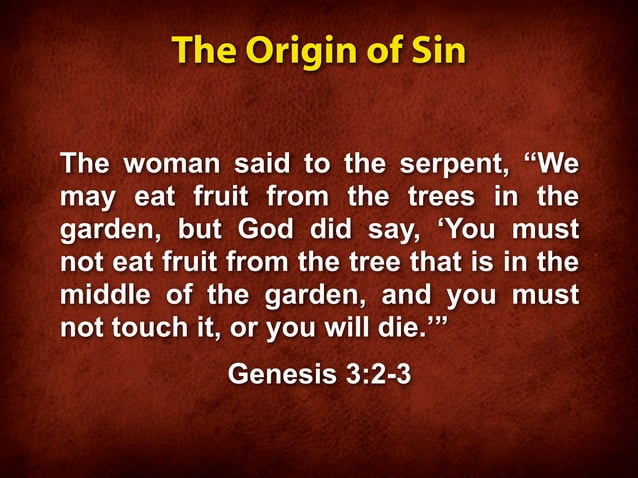 04. How Does Sin Begin? | PPT | Free Download