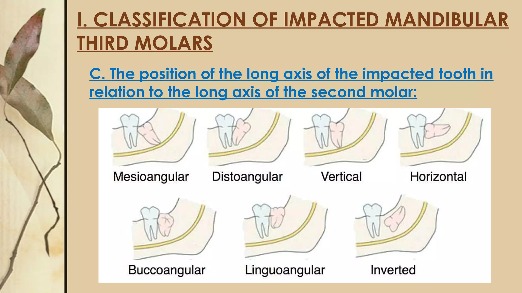 Surgical removal of Impacted teeth | PPT
