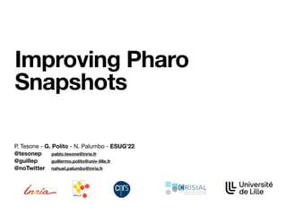 Improving Pharo Snapshots | PPT