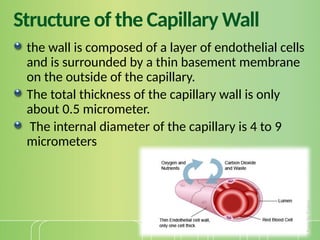 04-Life Block lecture - 3 Physiology + (The Microcirculation, Capillary ...