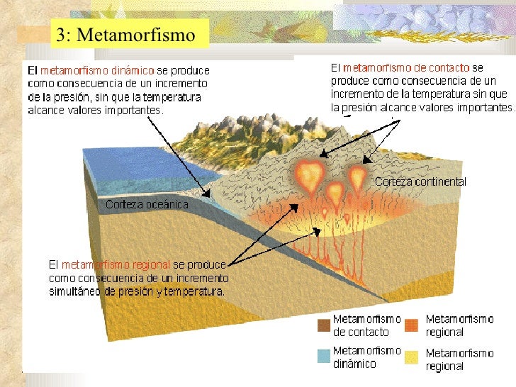 04 - Magmatismo y metamorfismo