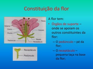 04 morfologia das plantas com flor - flor | PPTX