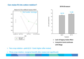 2021-04-29 - Guna Nachimuthu - Crop rotations in cotton systems | PPT