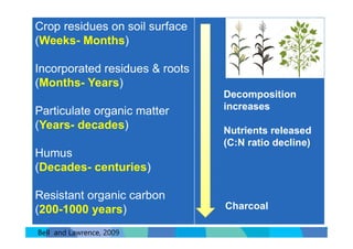 2021-04-29 - Guna Nachimuthu - Crop rotations in cotton systems | PPT