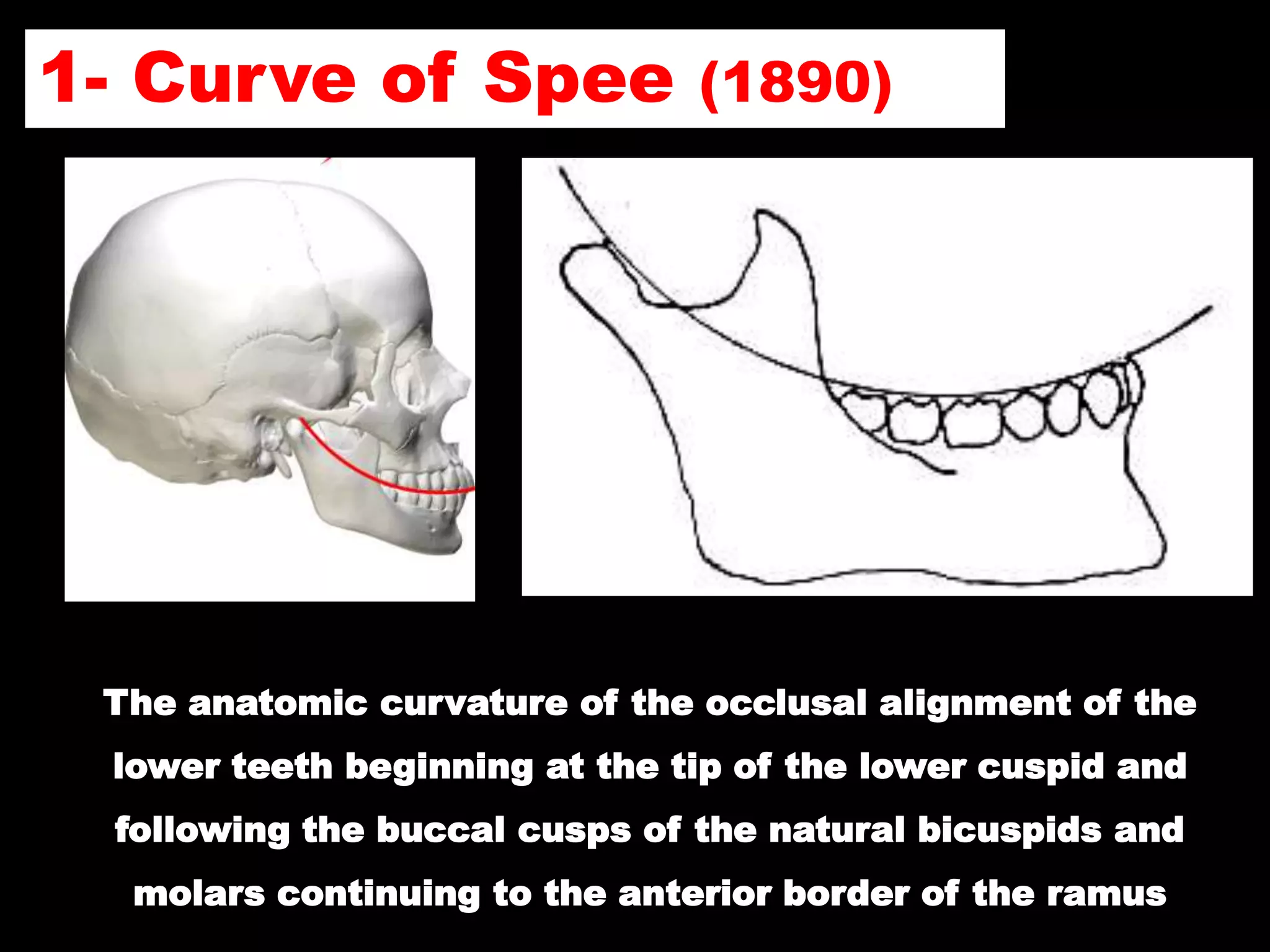 04- Occlusion in prosthodontics- Concepts of occlusion.ppt