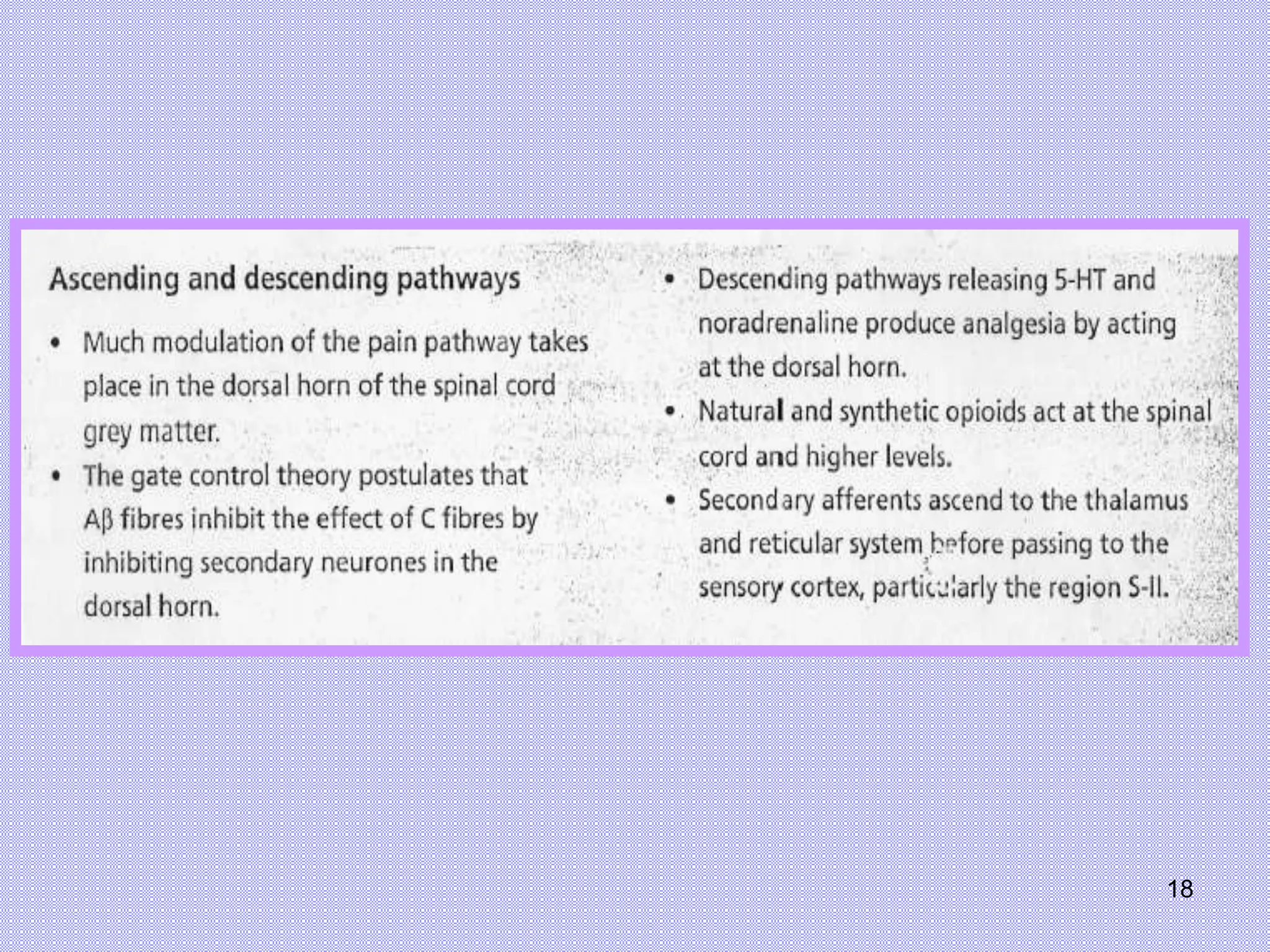 04-Pain pathway | PPT