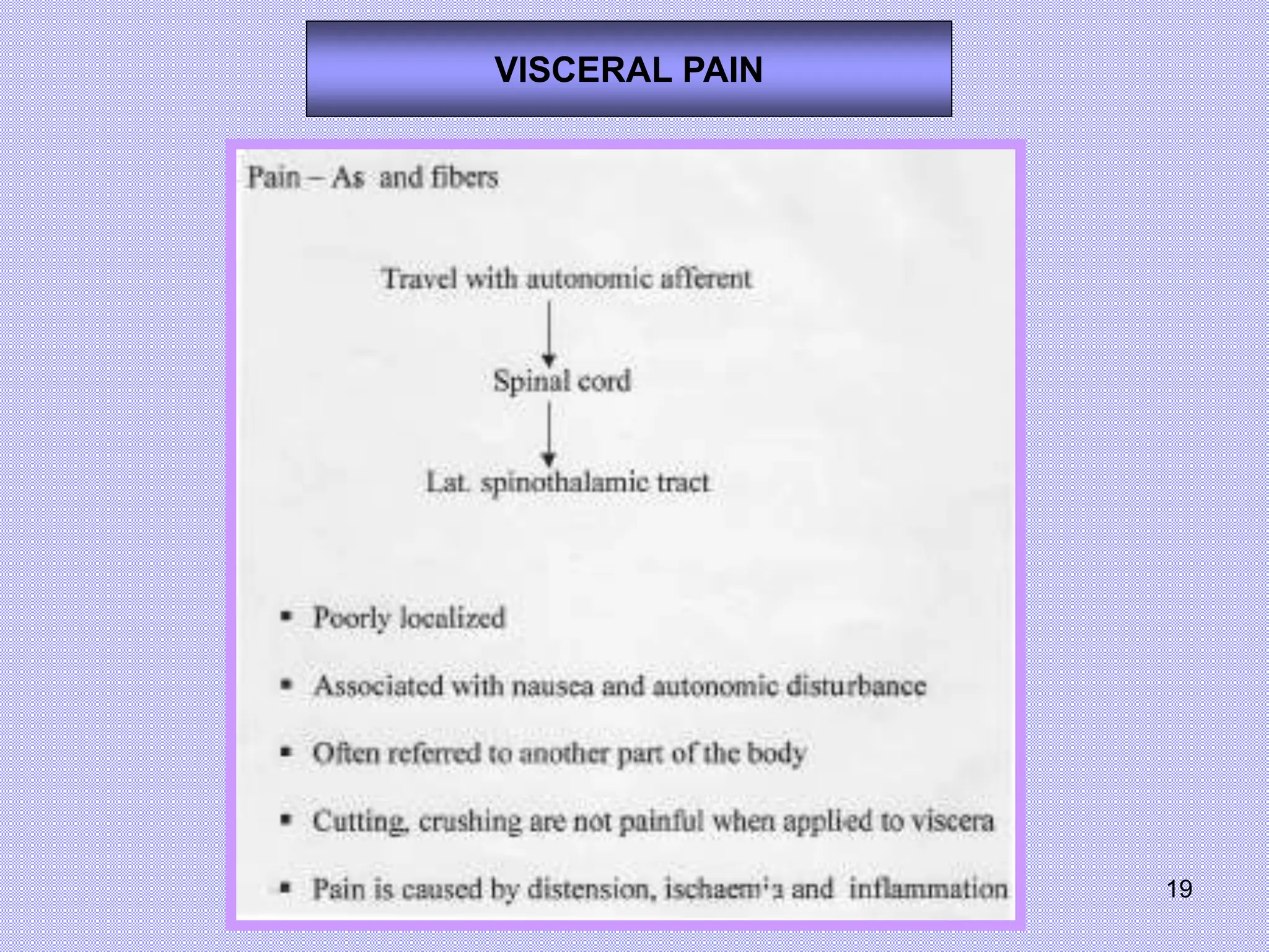 04-Pain pathway | PPT