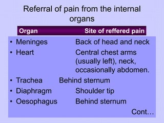 04-Pain pathway | PPT