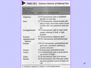 04-Pain pathway | PPT